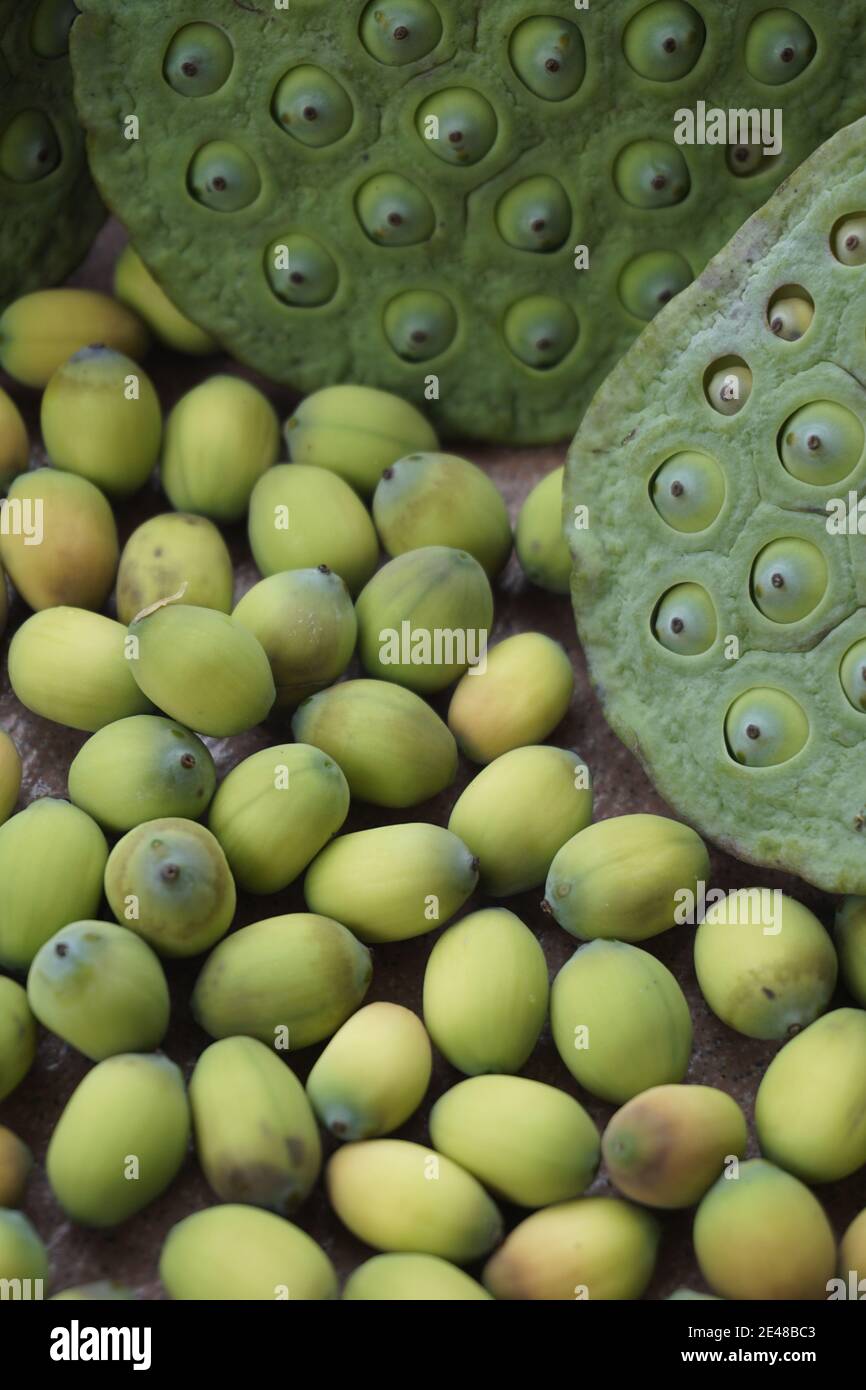 Lily seed pods hi-res stock photography and images - Alamy