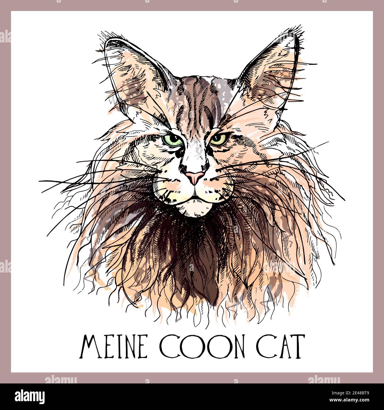 Hand drawn sketch style Maine Coon cat isolated on white background ...