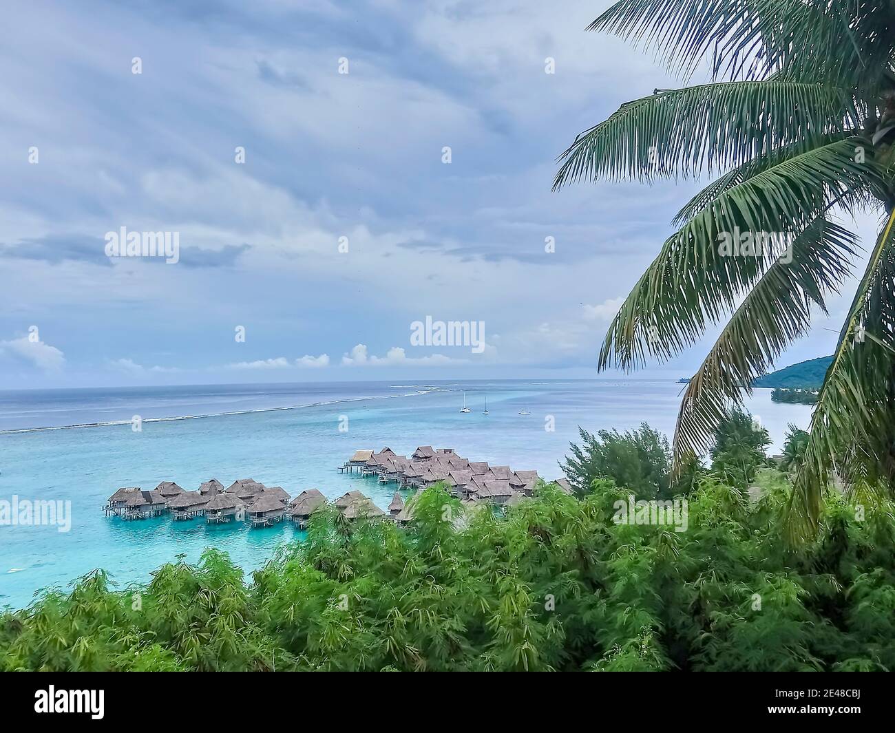 Polynesian background hi-res stock photography and images - Alamy