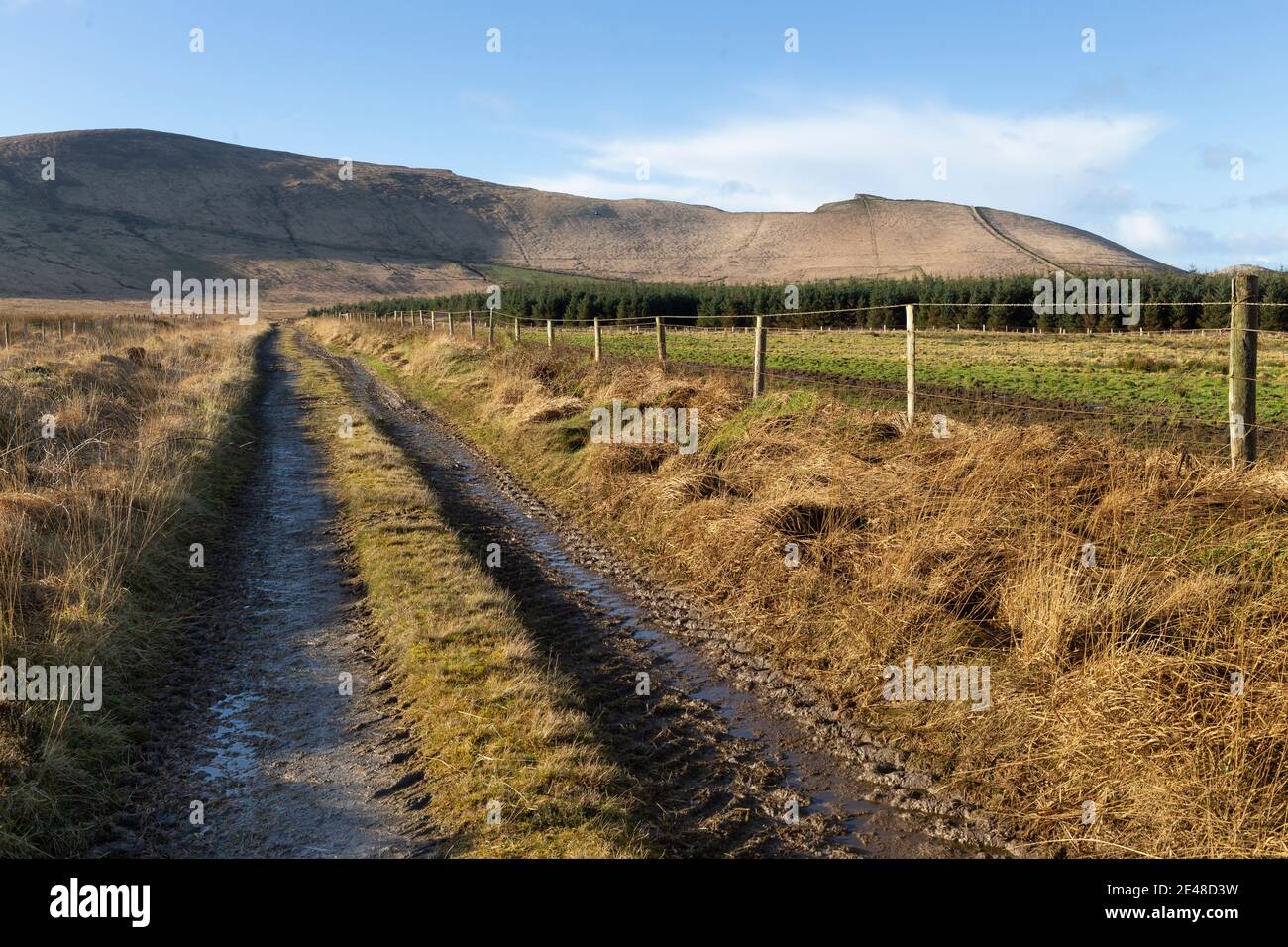 Irish country lane, near Portmagee, County Kerry Stock Photo - Alamy