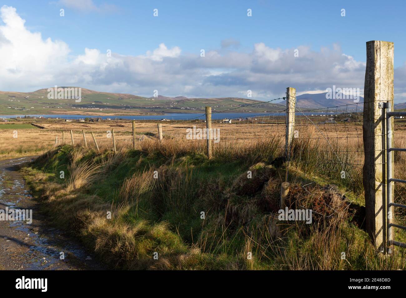 Irish country lane, near Portmagee, County Kerry Stock Photo - Alamy