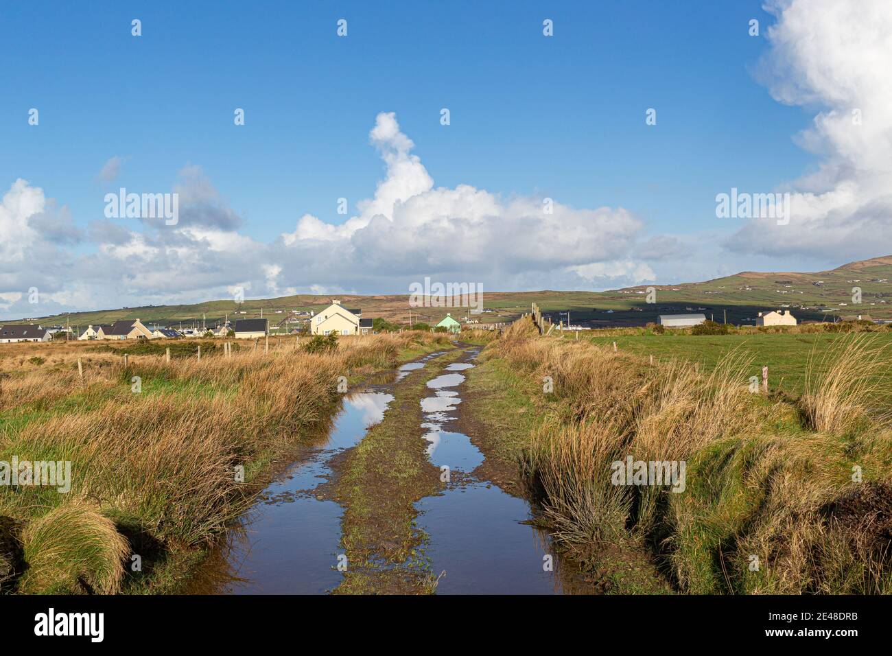 Irish country lane, near Portmagee, County Kerry Stock Photo - Alamy