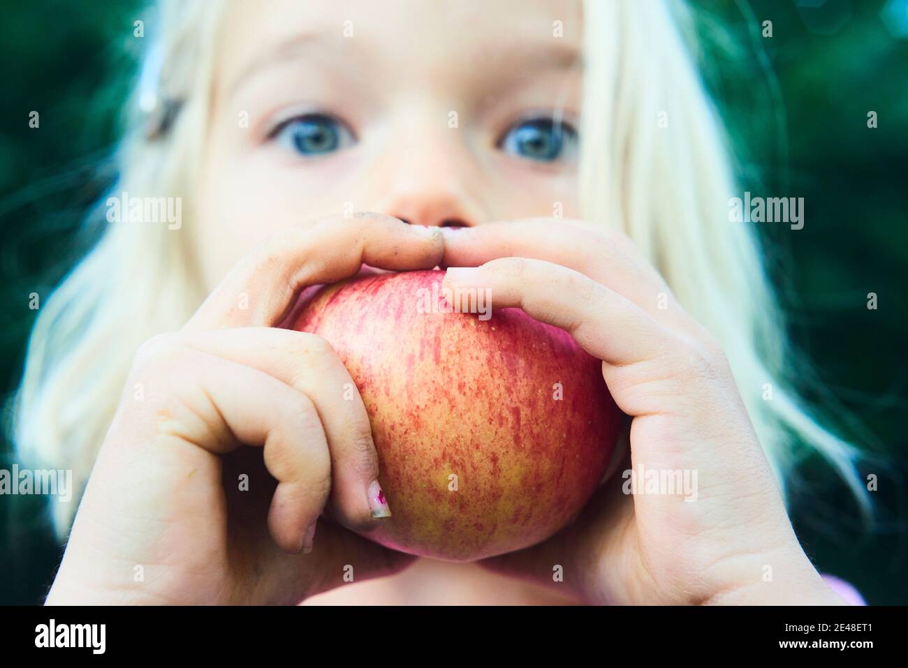 Child girl eating fresh apple after plucking from the tree. Closeup ...
