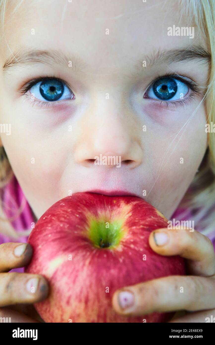 Child girl eating fresh apple after plucking from the tree. Closeup ...