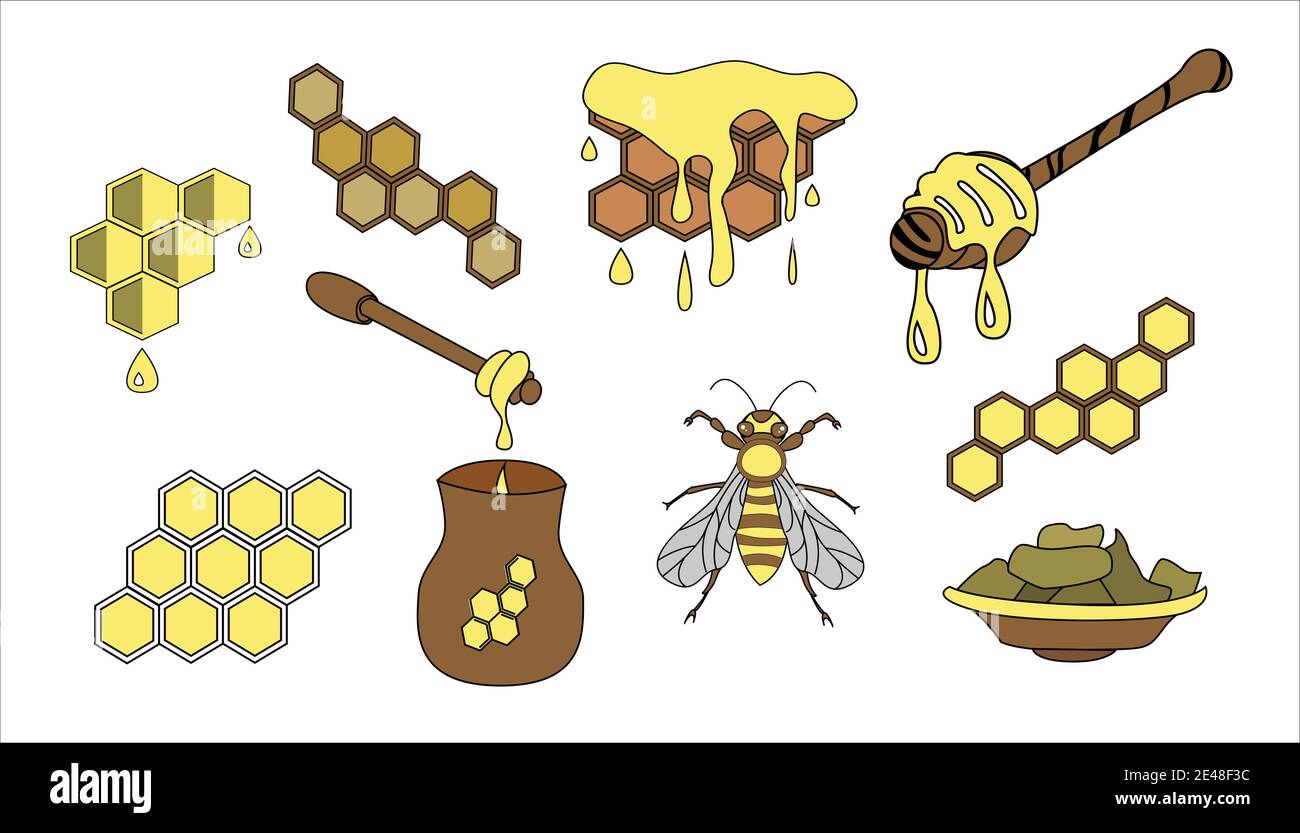 Honey and propolis set. Vector icons illustration Stock Vector Image ...