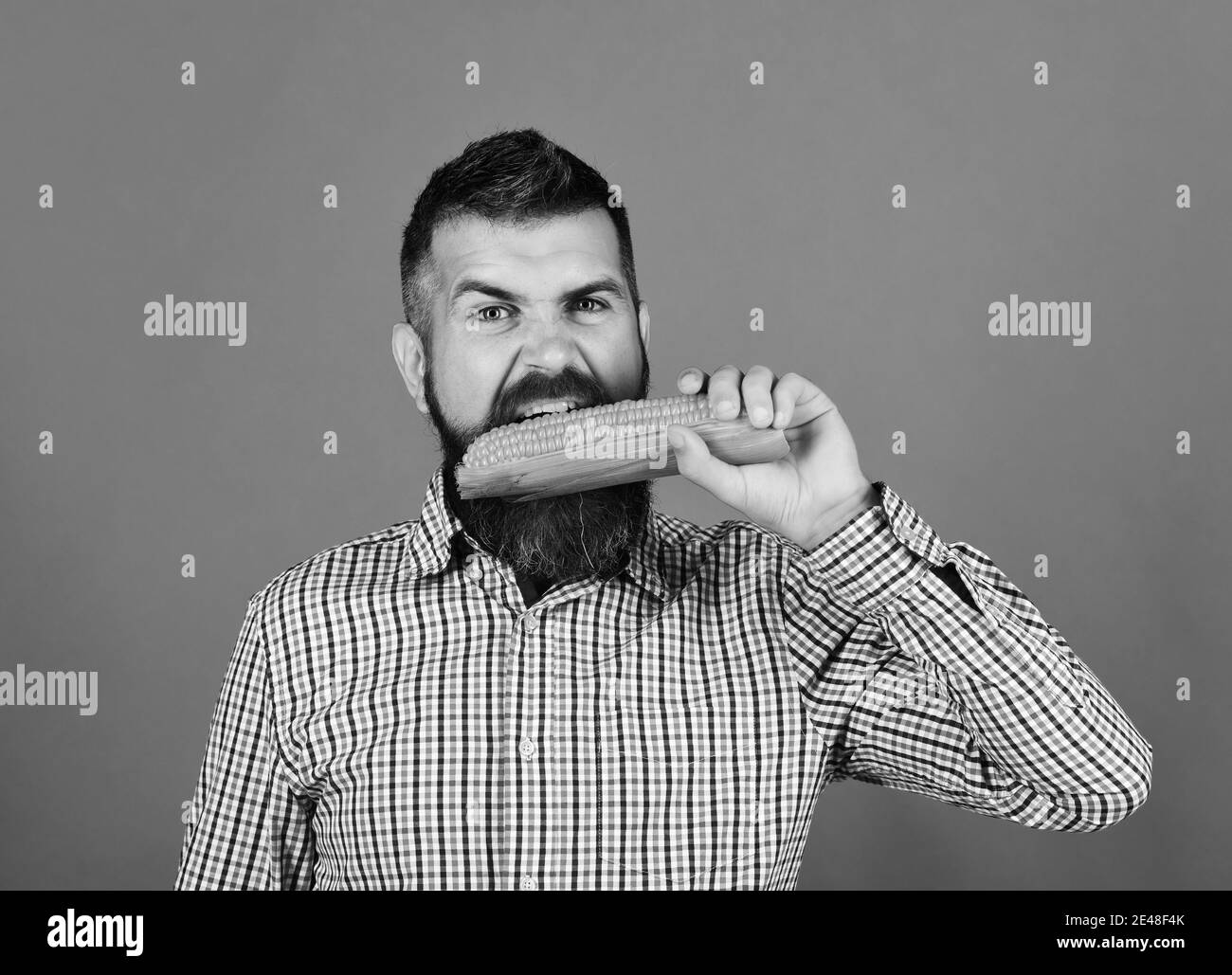 Corn cob bite Black and White Stock Photos & Images - Alamy