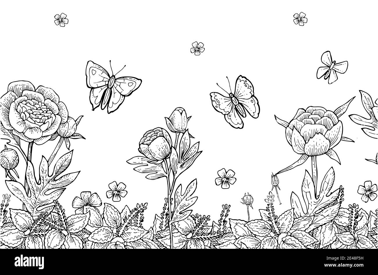 peony, rose, flowers. Seamless frame. Background illustration. Hand ...
