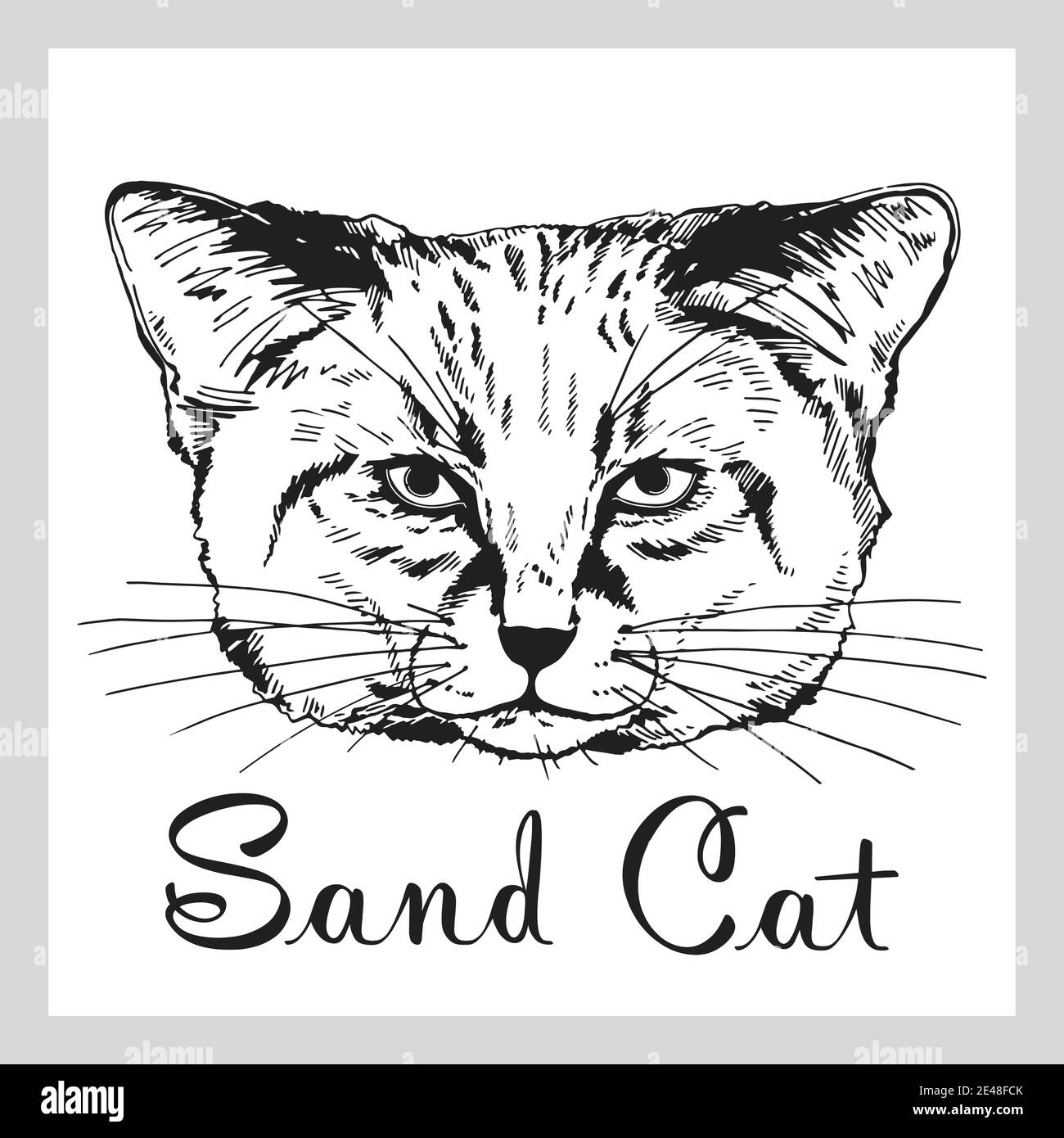 Hand drawn sketch style sand cat isolated on white background. Vector ...