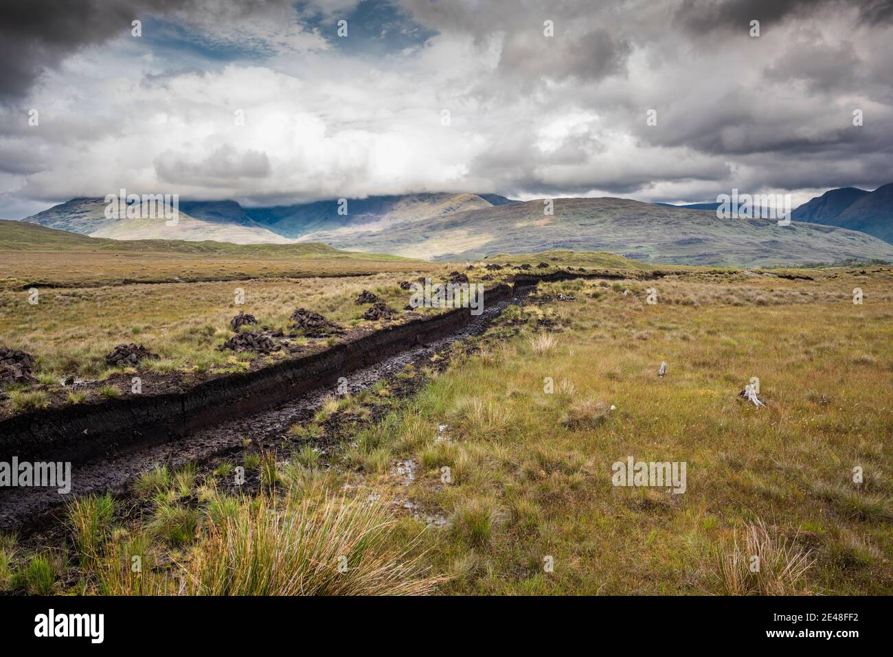 Stacks of peat (turf) for heating, drying on cut bog at Bunowen, near ...