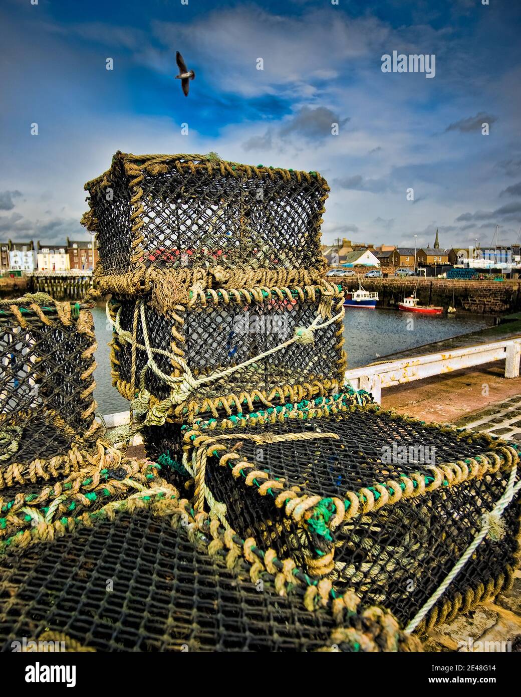 Arbroath is a former royal burgh and the largest town in the council ...