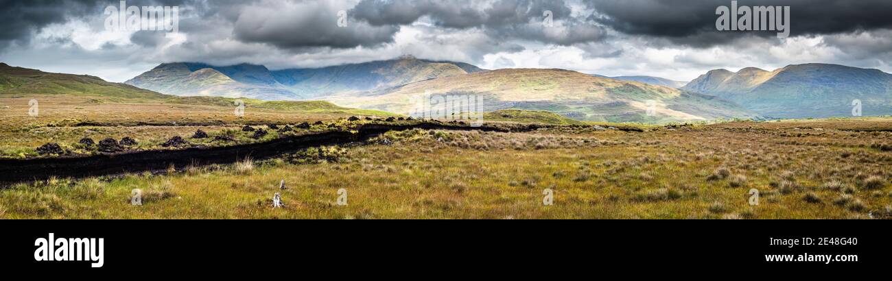 Stacks of peat (turf) for heating, drying on cut bog at Bunowen, near ...
