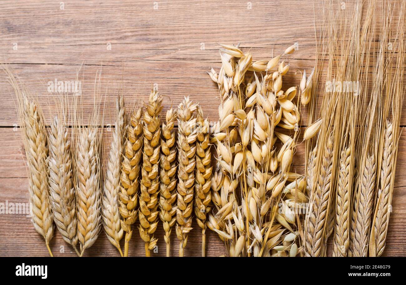 Wheat, barley, rye, and oats hi-res stock photography and images - Alamy