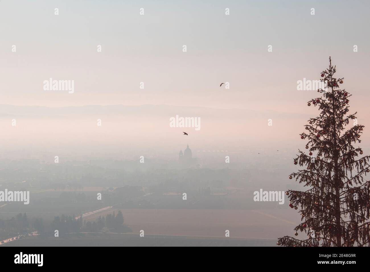 Maria in the fir hi-res stock photography and images - Alamy