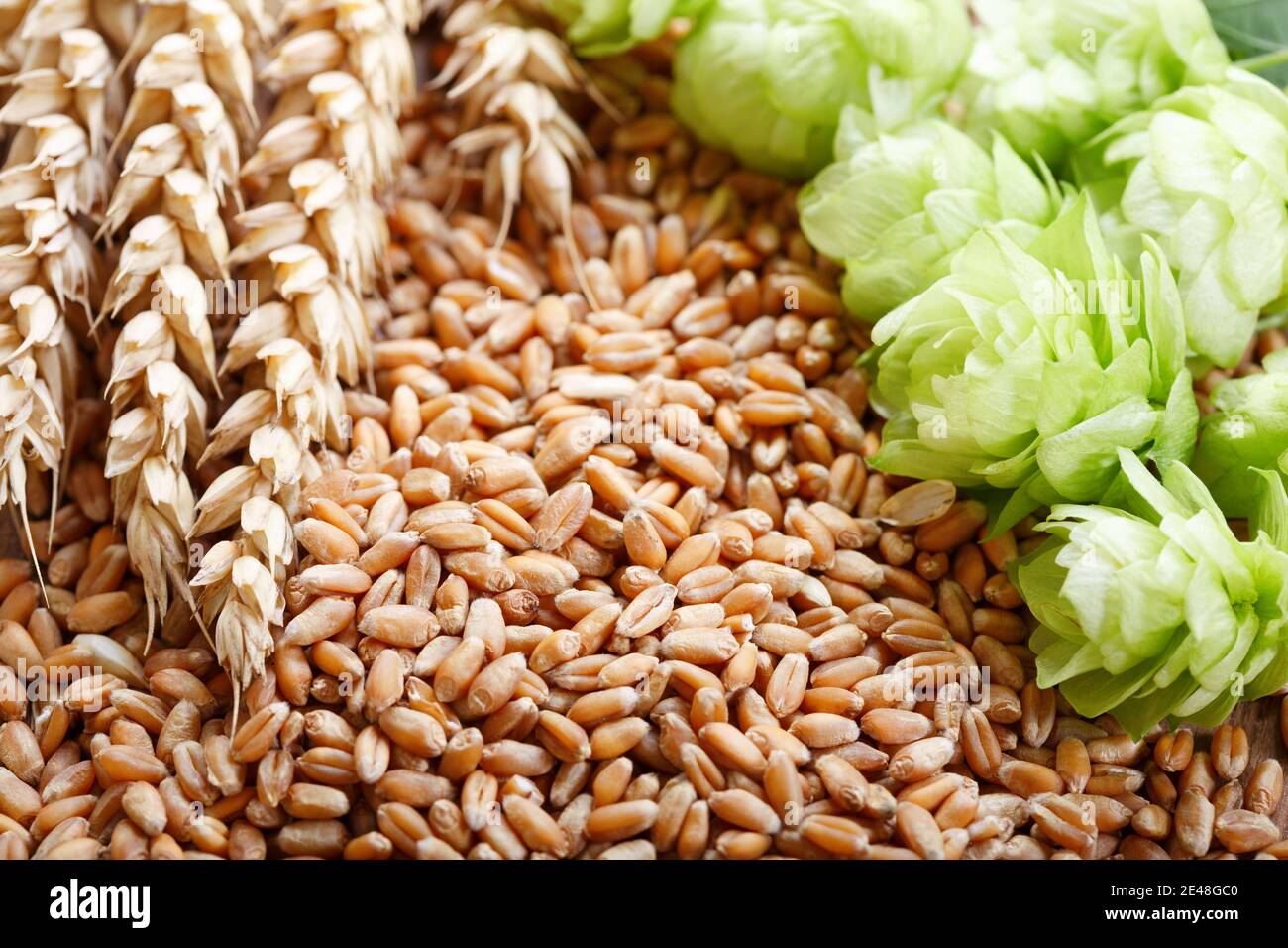 green hops, wheat ears and grains, top view Stock Photo - Alamy