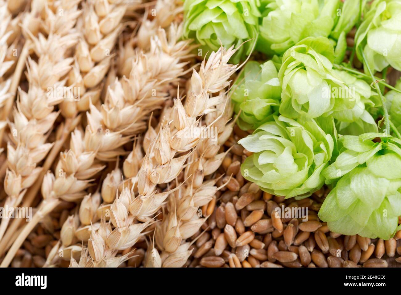 green hops, wheat ears and grains, top view Stock Photo - Alamy