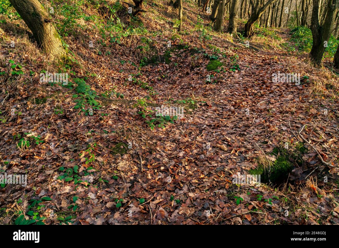 Shallow coal workings from the 1921 coal strike on a steep slope in ...