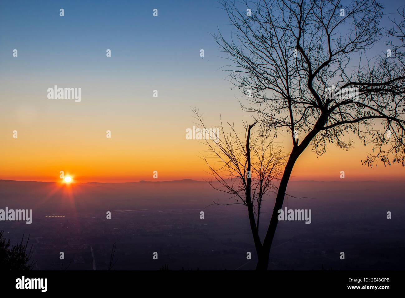 Panorama silhouette tree in italy with sunset.Tree silhouetted against ...