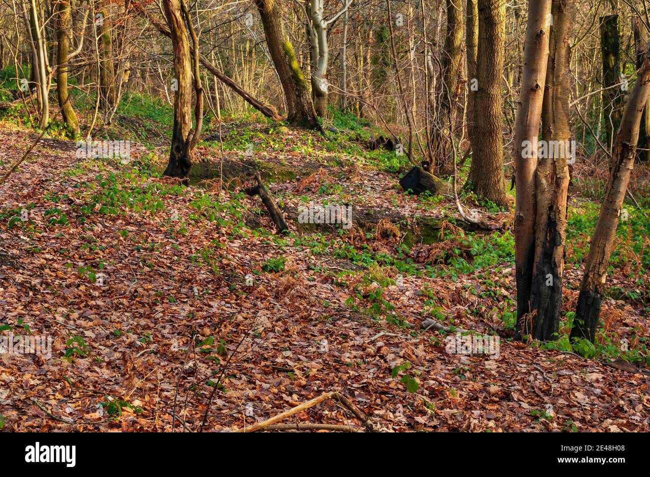 Shallow coal workings from the 1921 coal strike on a steep slope in ...