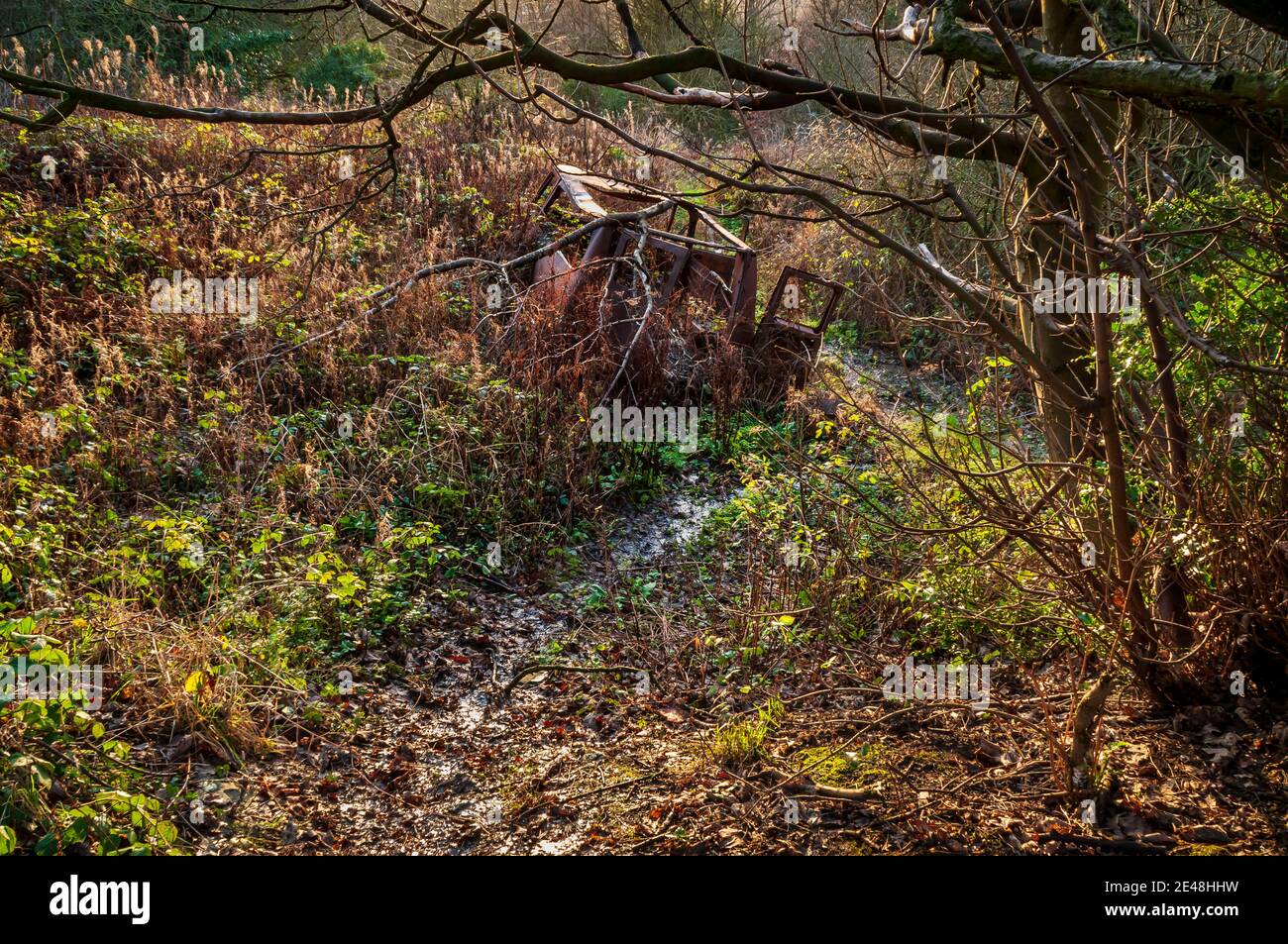 Abandoned van woods hi-res stock photography and images - Alamy