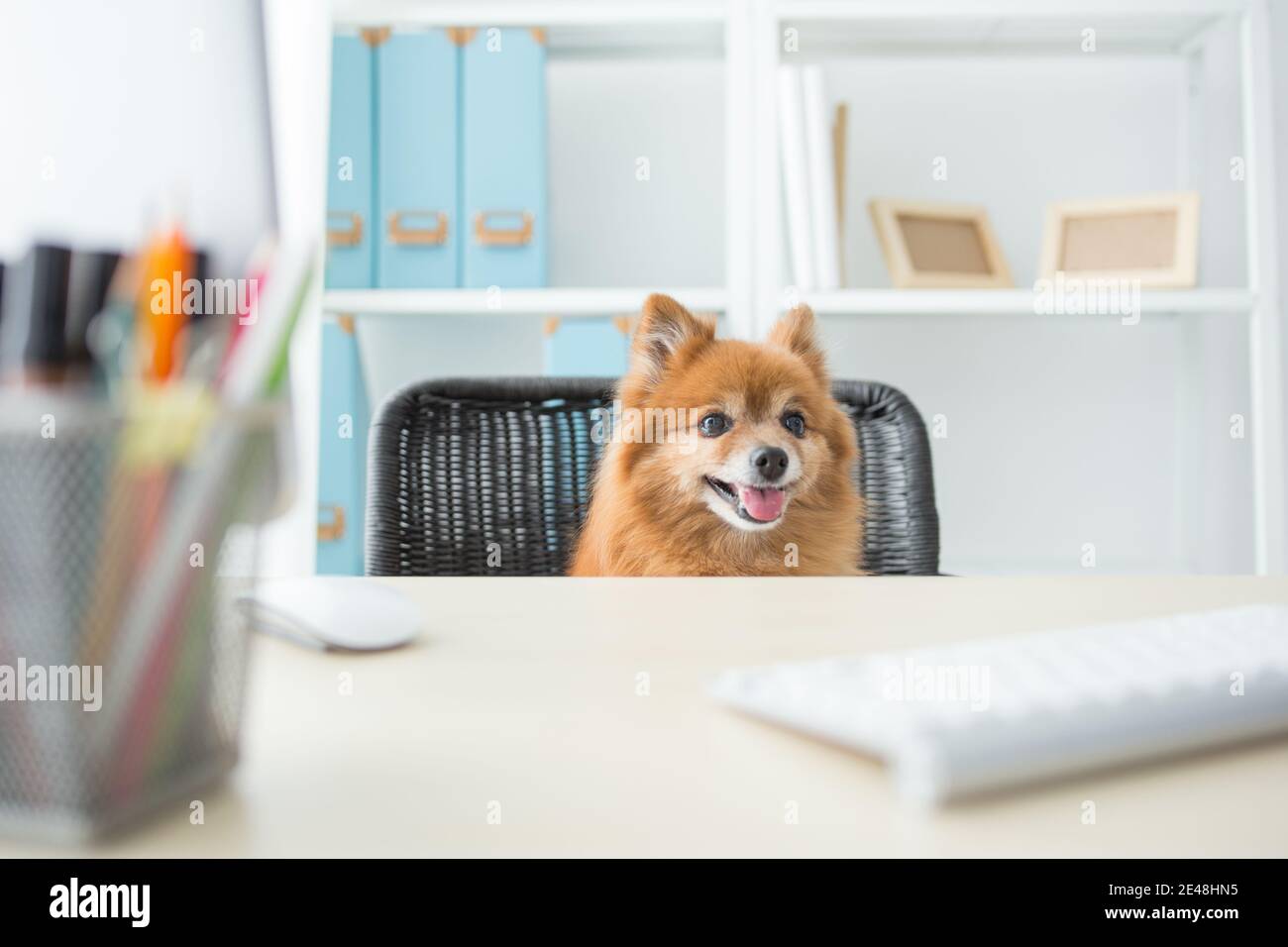 Energetic working study hi-res stock photography and images - Alamy