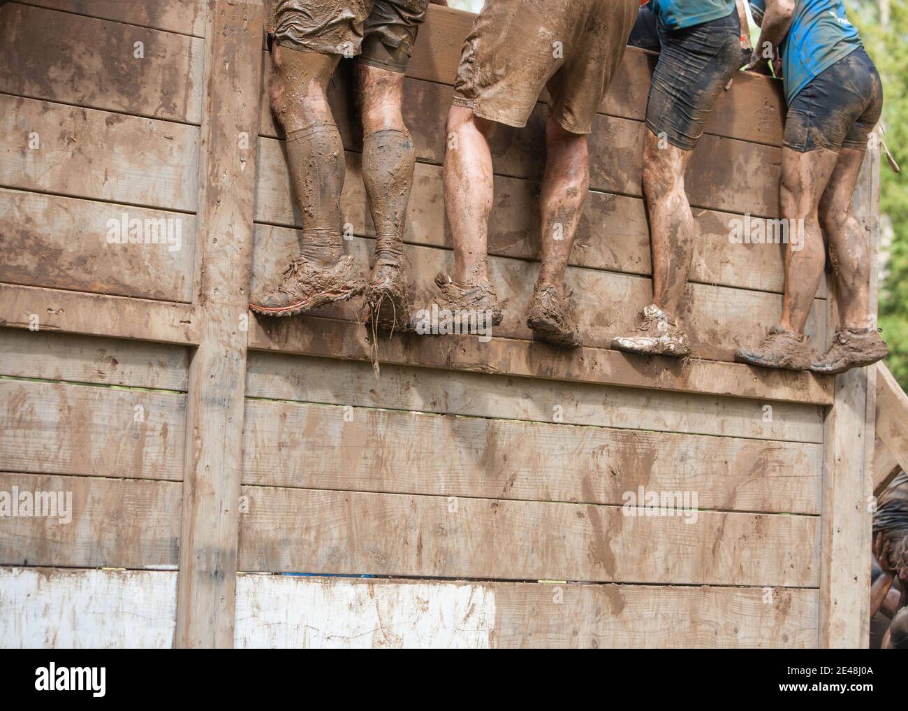 Muddy legs slipping and sliding all over the place as they attempt to ...