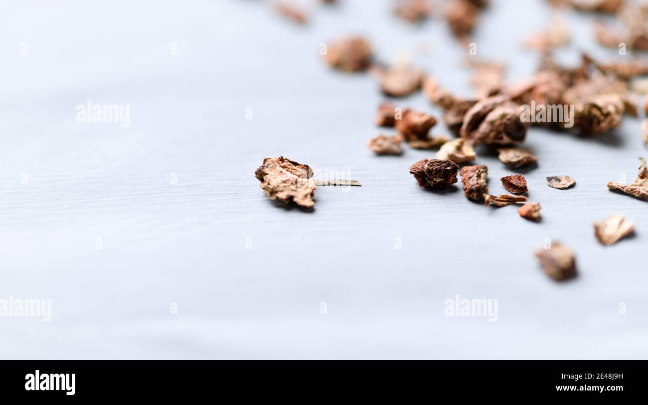 Dry root of Rhodiola rosea. Golden root, rose root. Healthy medical ...