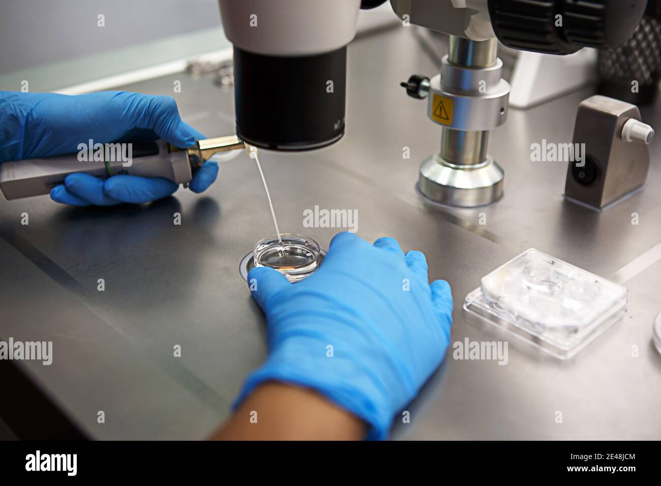 Hands of a scientist in the laboratory with a test tube and a ...