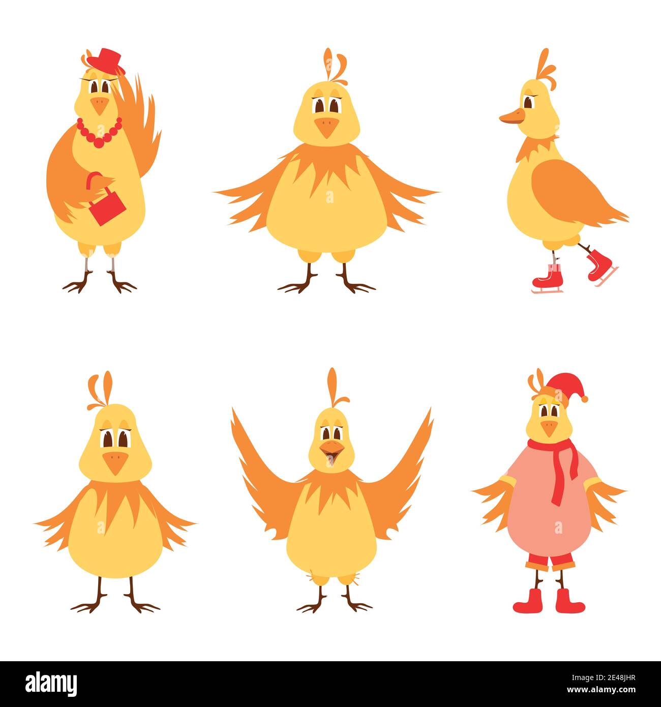 Illustration of six laying hens on a white background. Vector ...