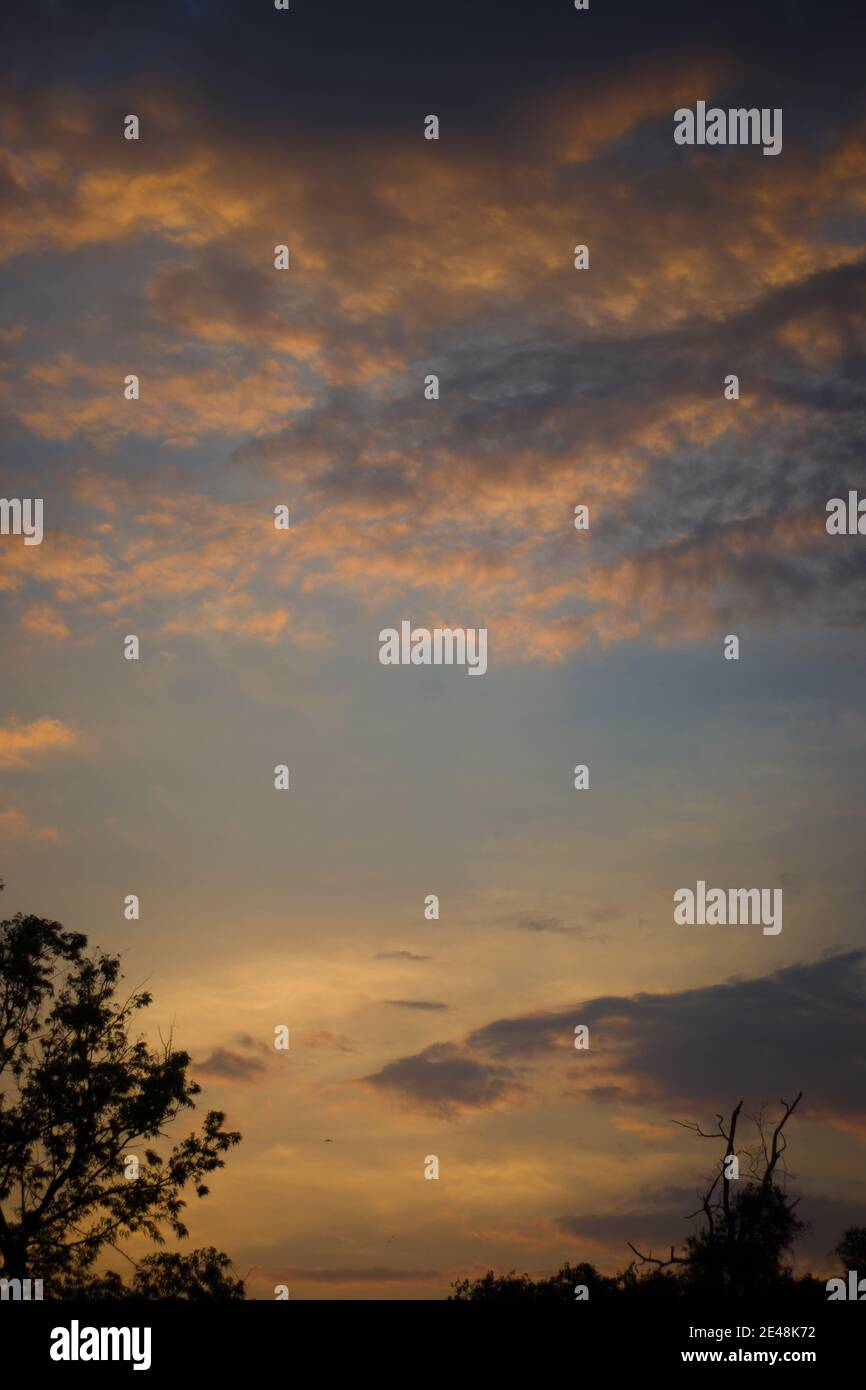 Yellow_sky hi-res stock photography and images - Alamy