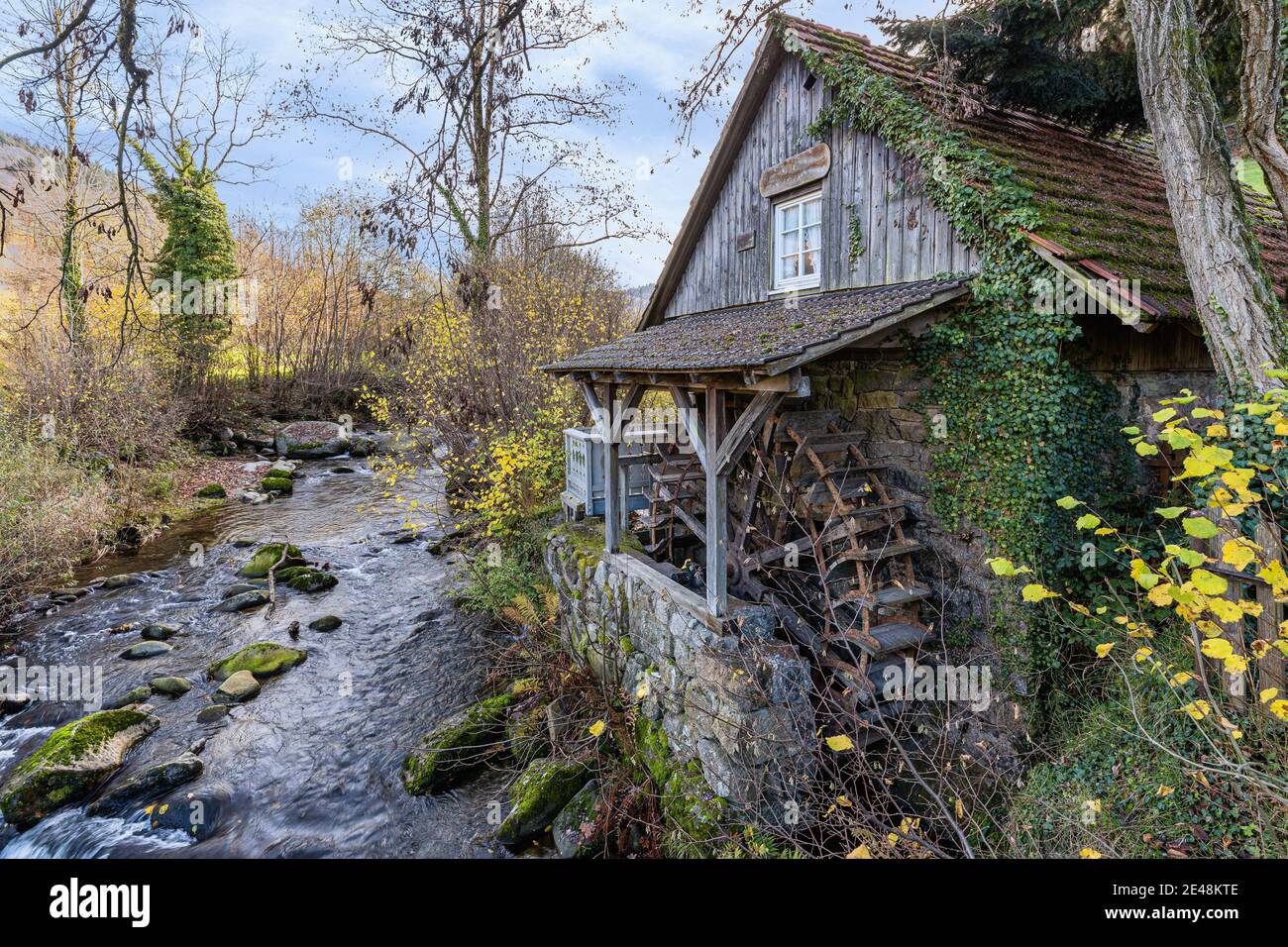 Beautiful Cabin By River