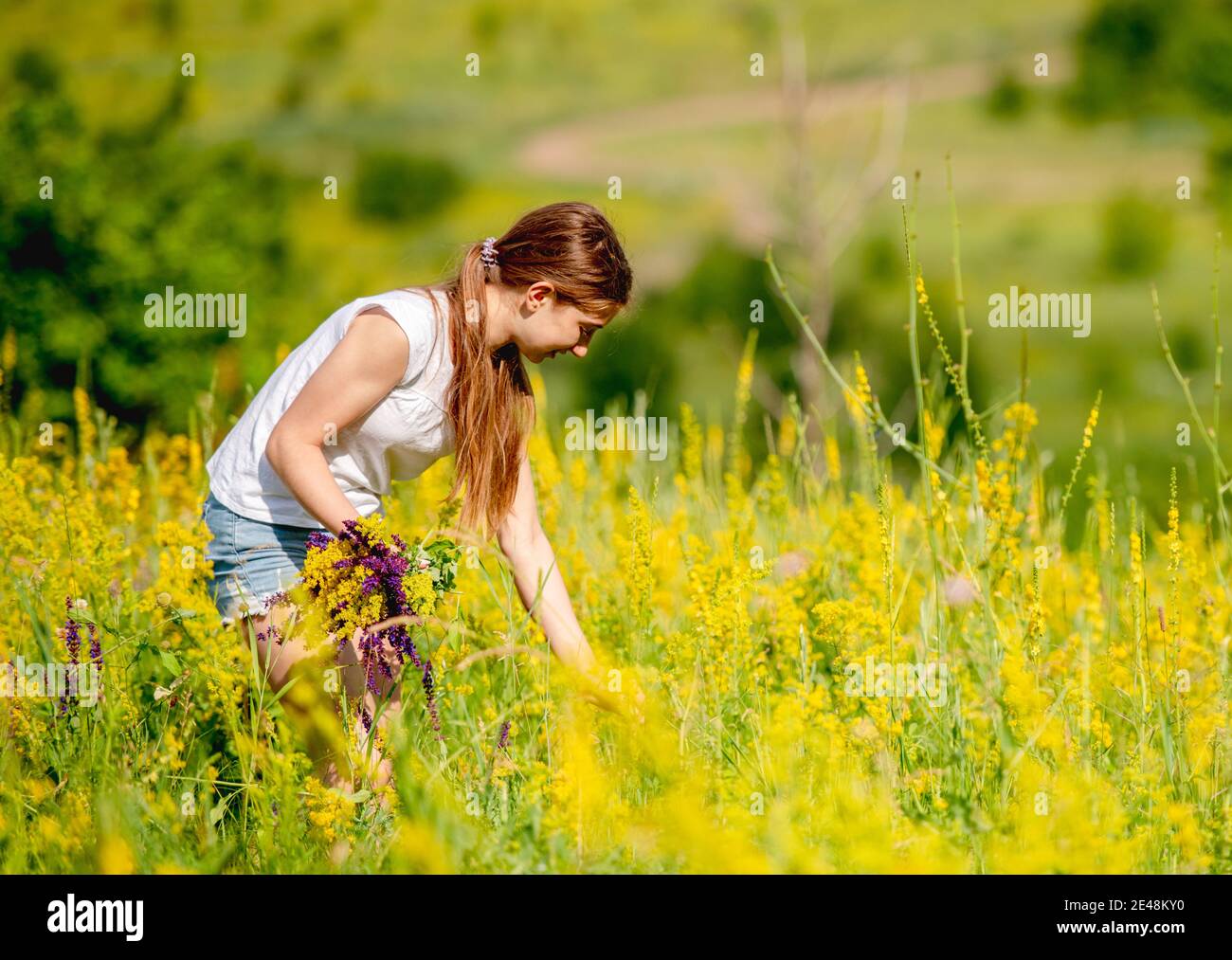 Collecting flowers hi-res stock photography and images - Alamy