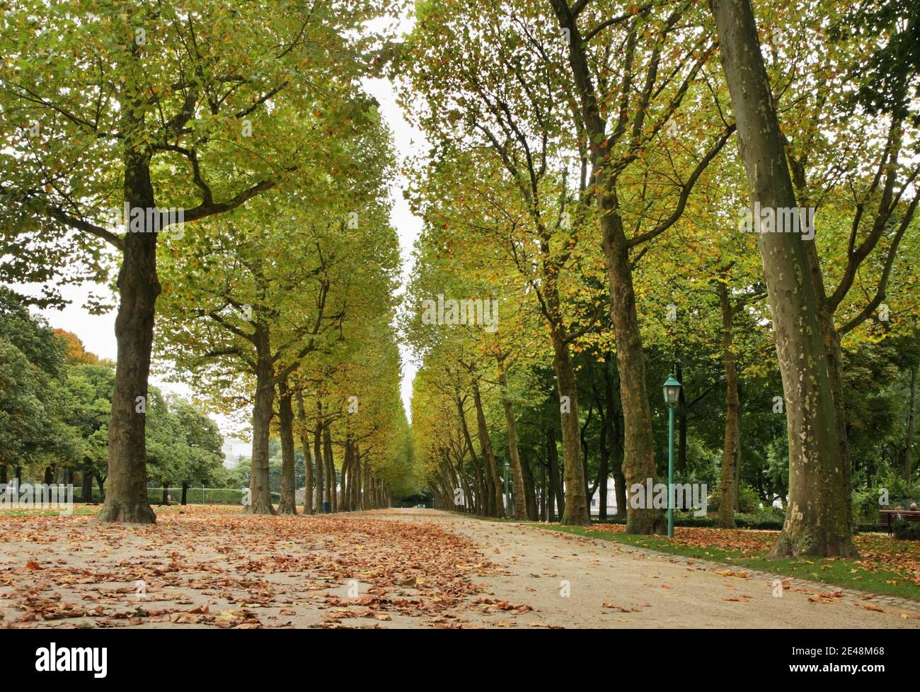 Parc du Cinquantenaire – Jubelpark. Brussels. Belgium Stock Photo - Alamy