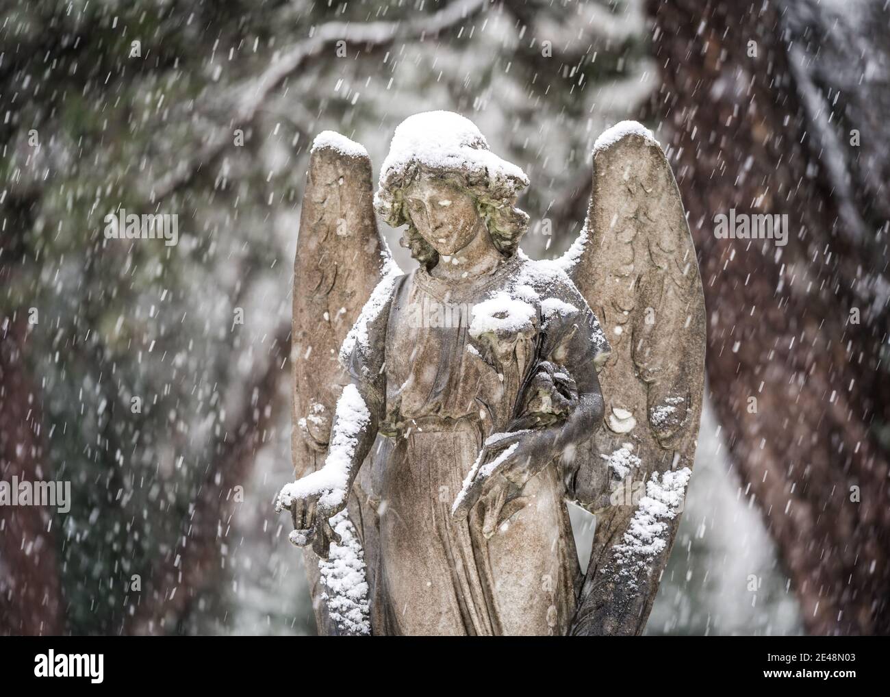 Statue of angel gravestone in forecast winter snow peaceful snowfall ...