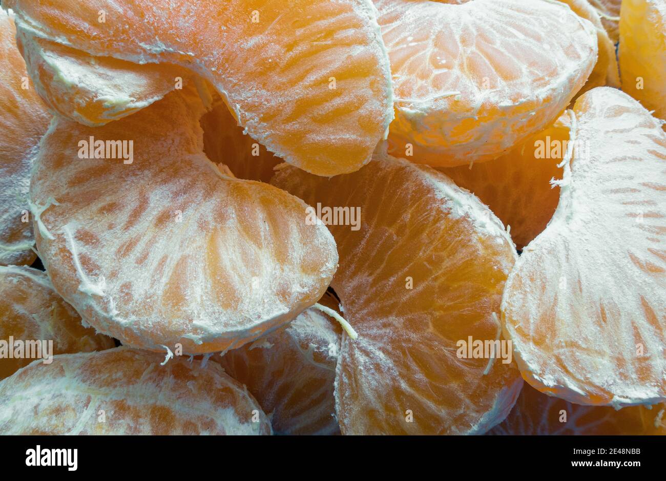 Fine segments hi-res stock photography and images - Alamy