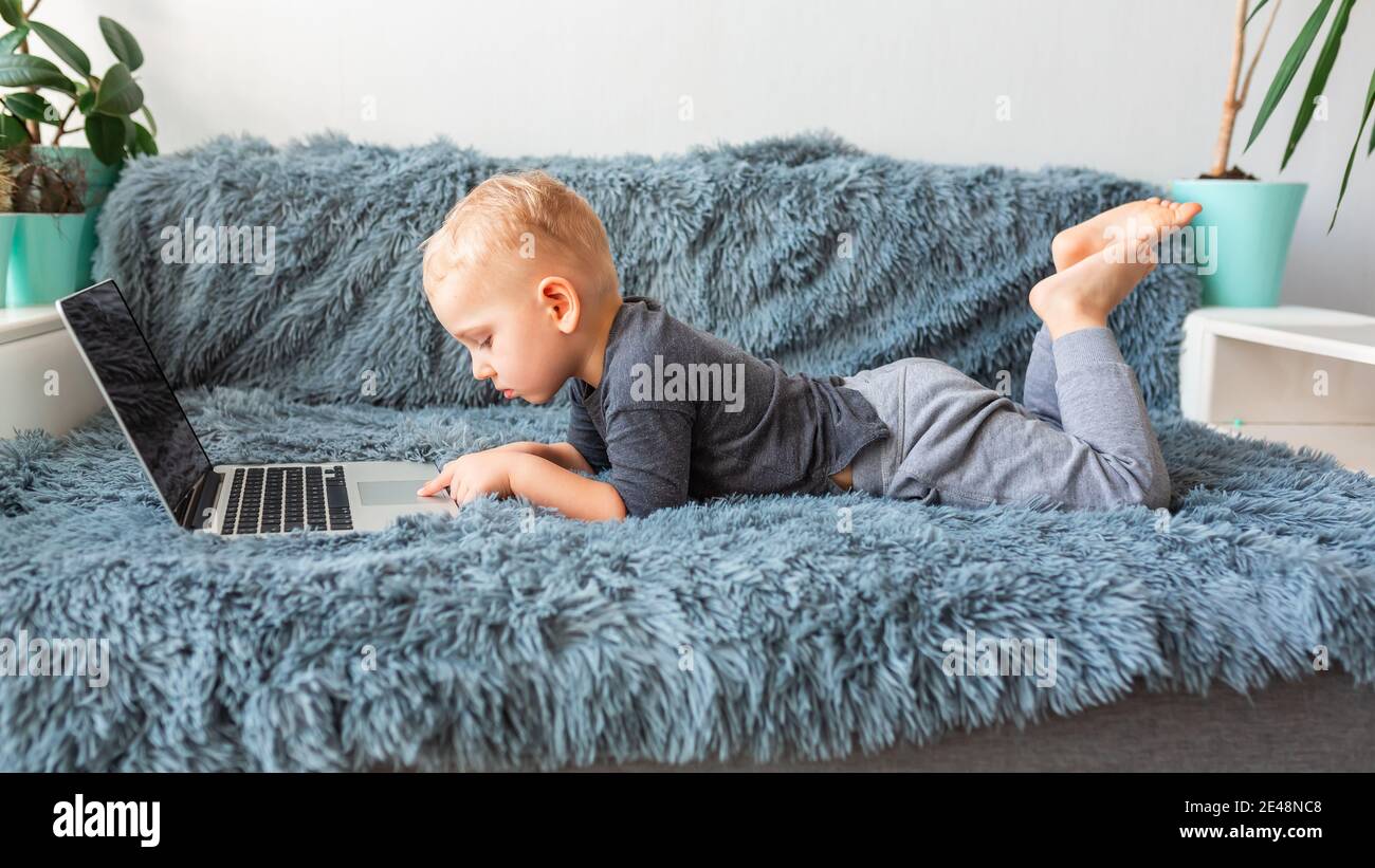 Little baby boy playing on laptop lying on sofa at home. E-learning ...