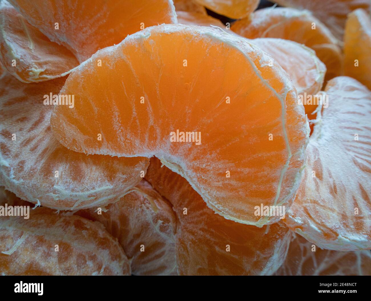 Fine segments hi-res stock photography and images - Alamy
