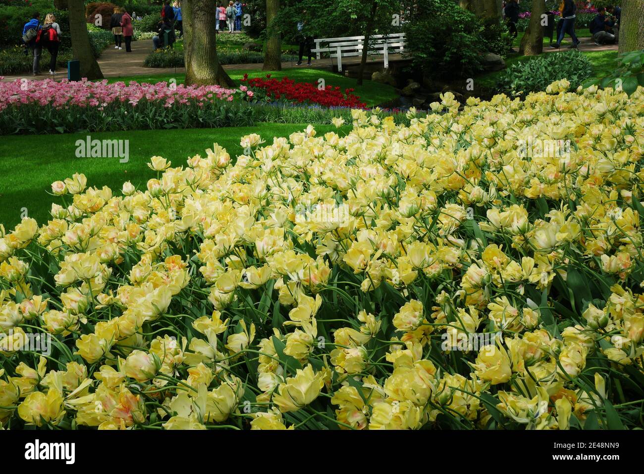 Blooming flowerbed border hi-res stock photography and images - Alamy