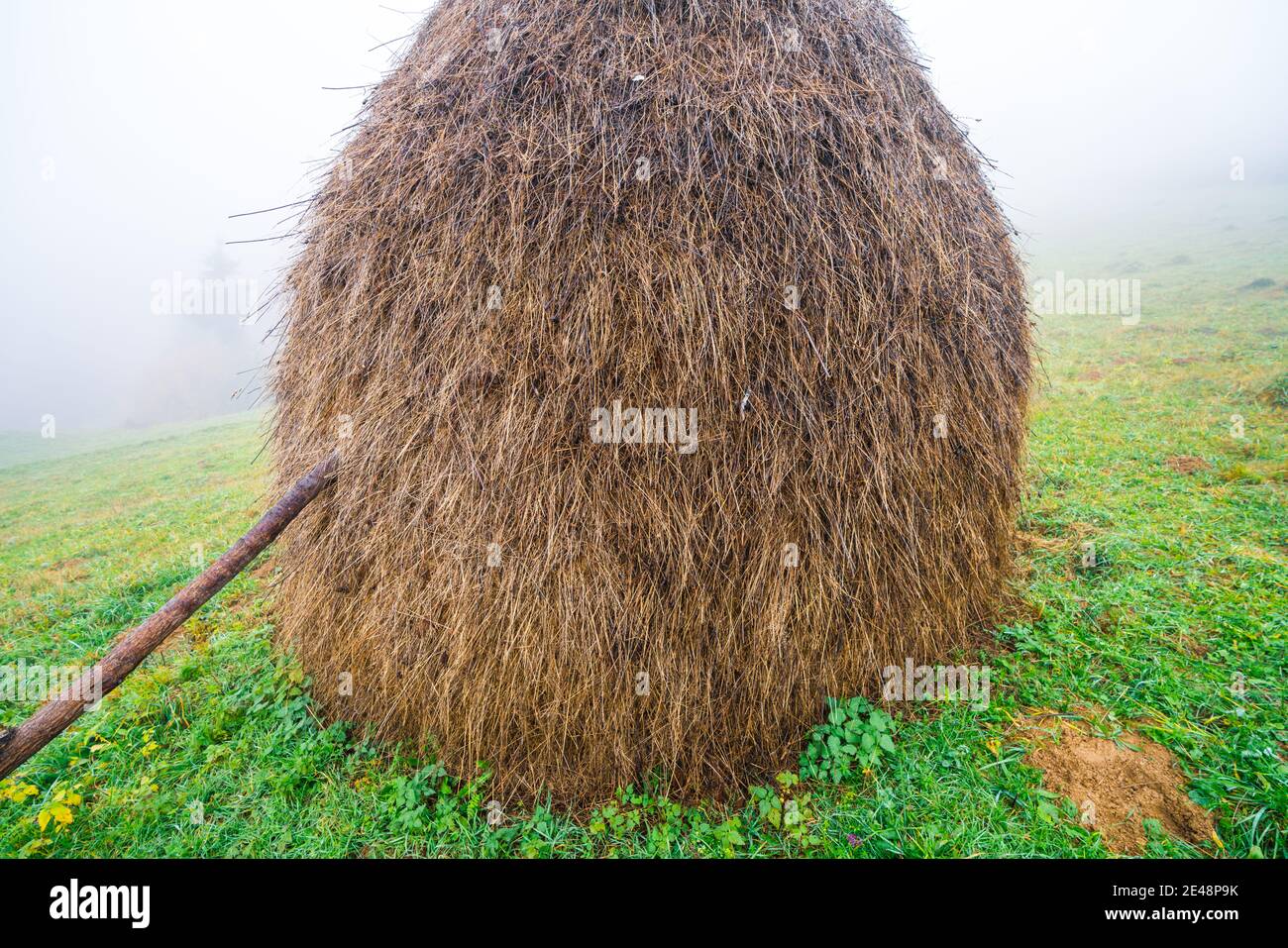 A large wet haystack stands on a green field amidst thick gray fog in ...