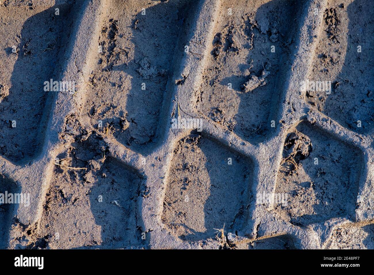 Large agricultural trailer tracks hi-res stock photography and images ...