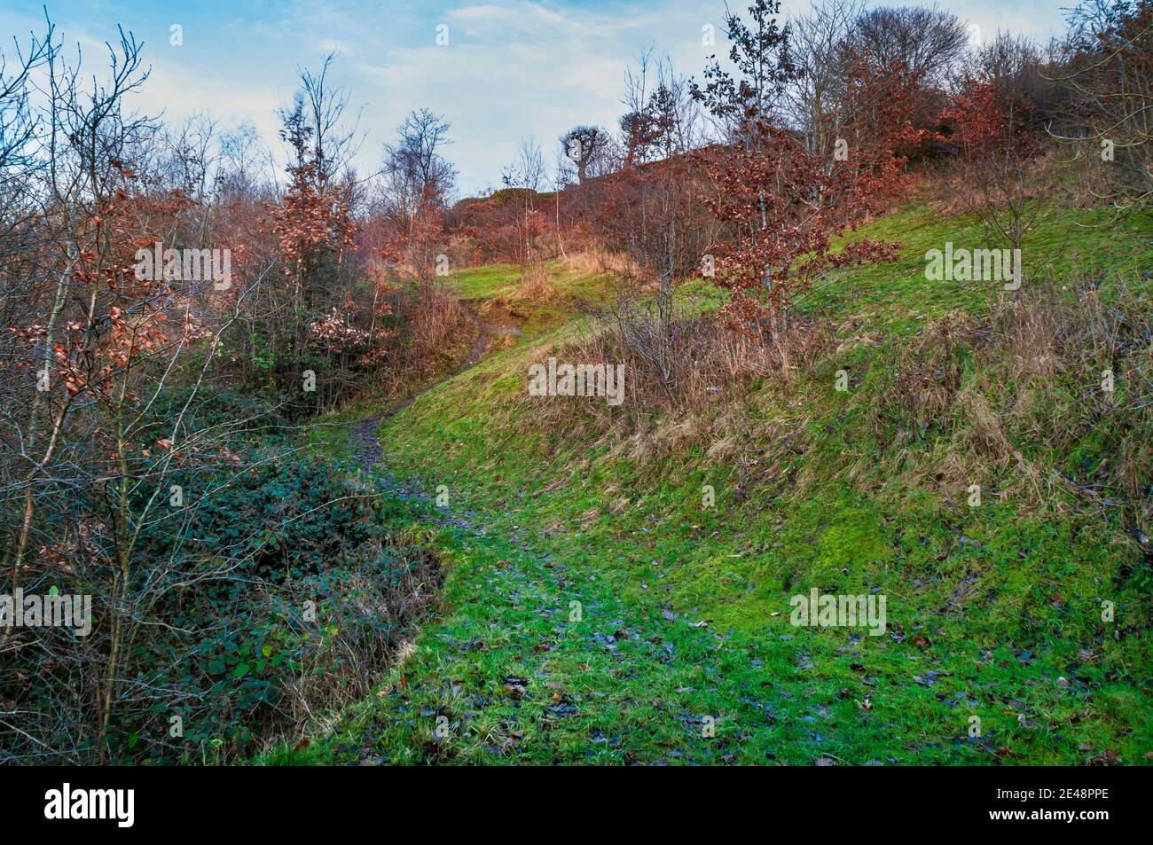 Old abandoned sandstone quarry at Hurlfield near Gleadless, Sheffield ...