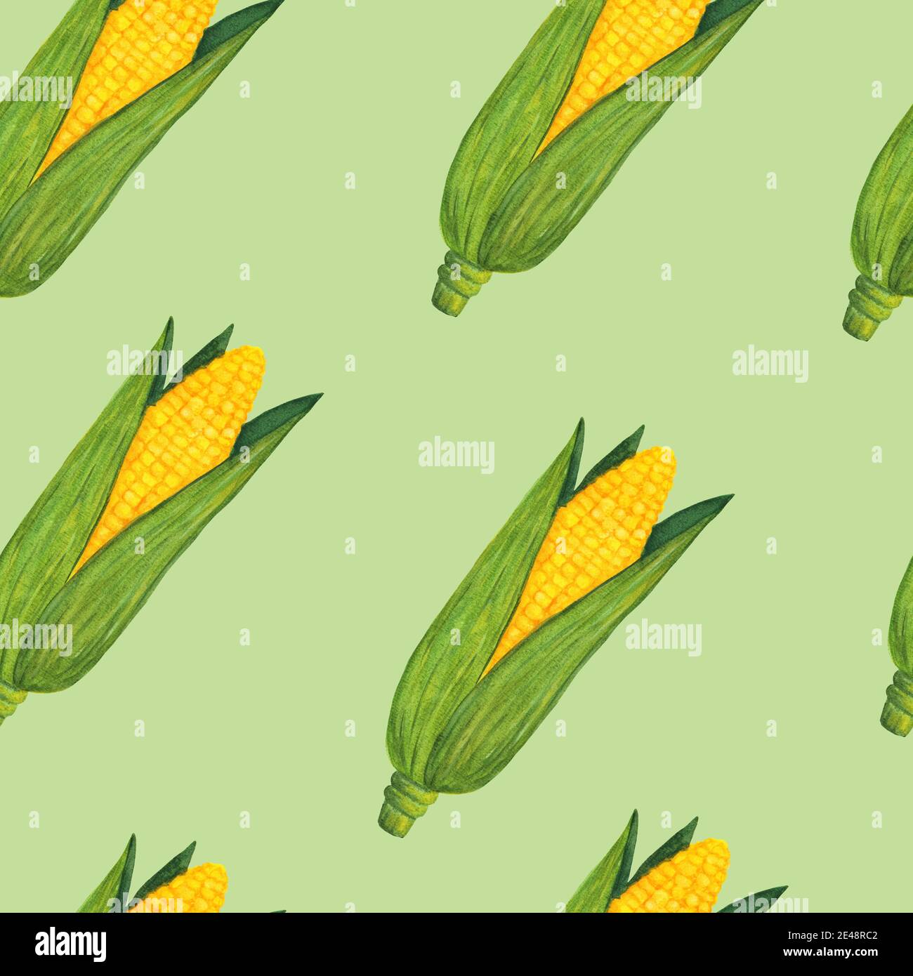Drawing corn husk hi-res stock photography and images - Alamy