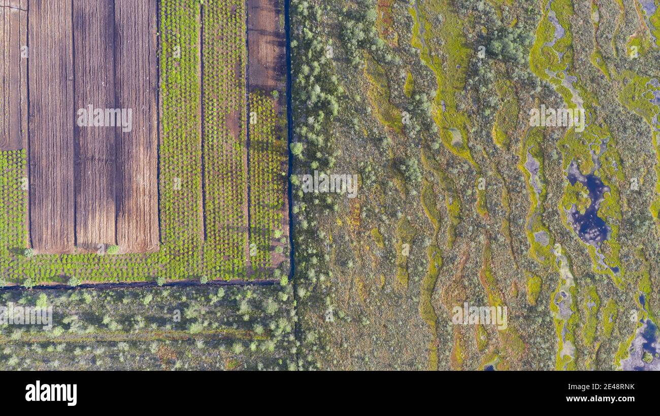 Aerail of the partly destroyed bog landscape Stock Photo - Alamy