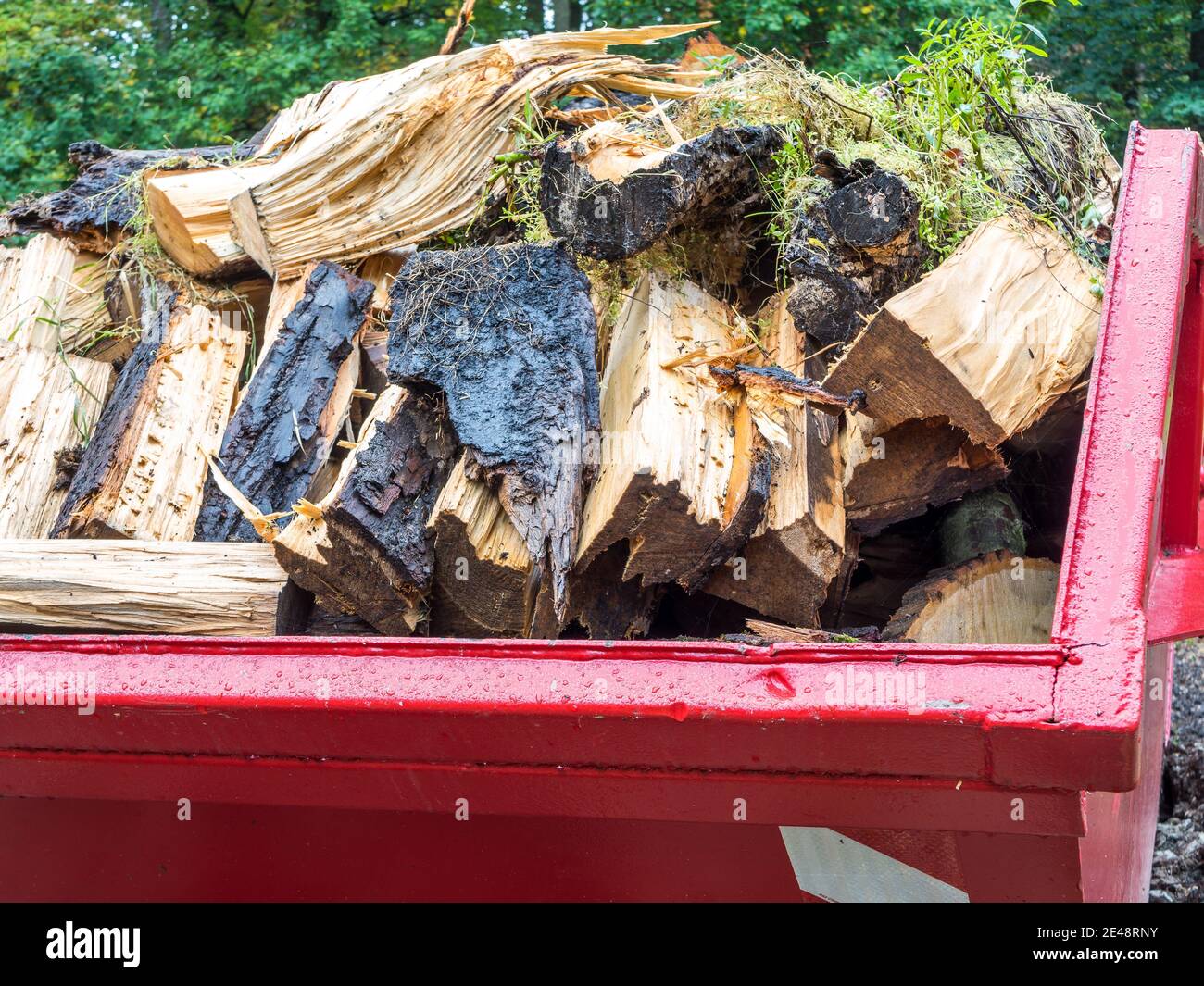 Container with Timber in the yard Stock Photo - Alamy