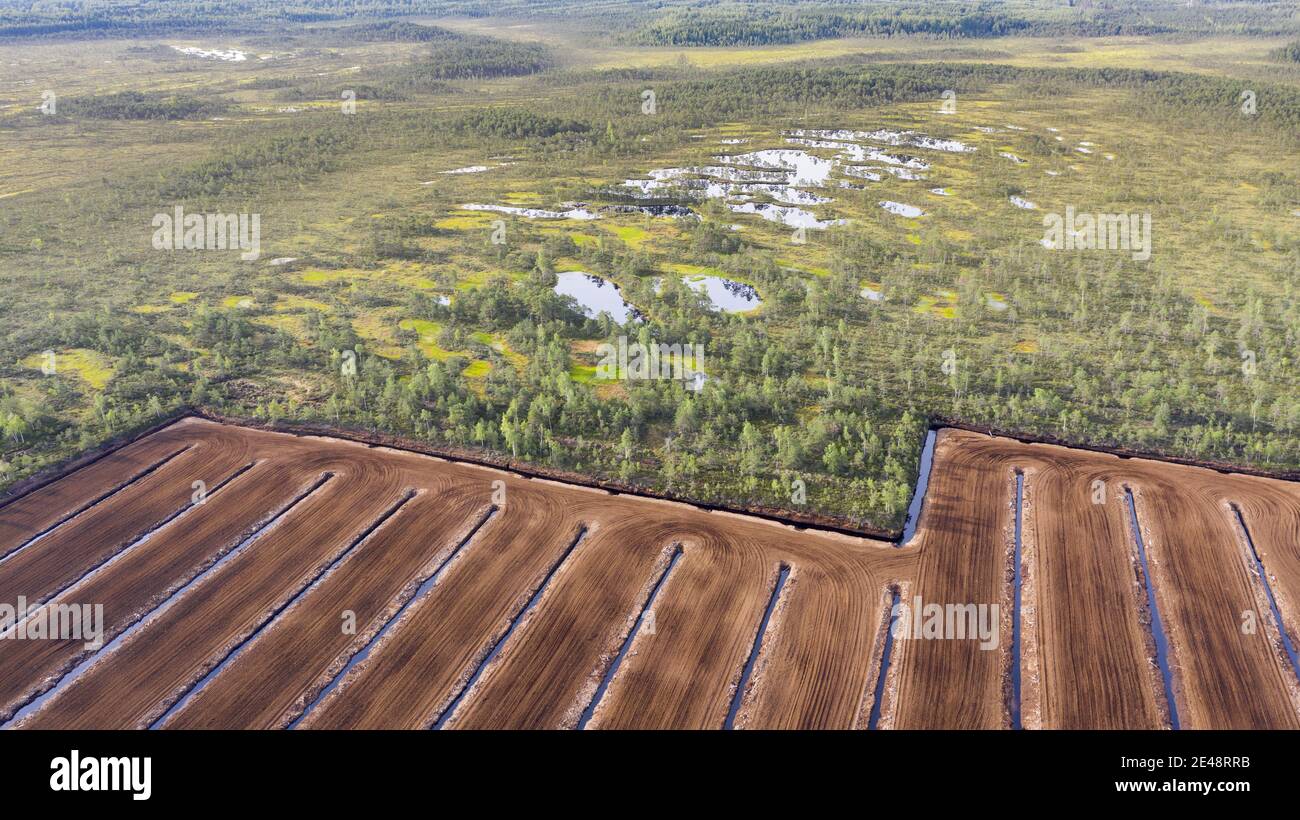 Aerial view to the bog landscape with natural elements and peat ...