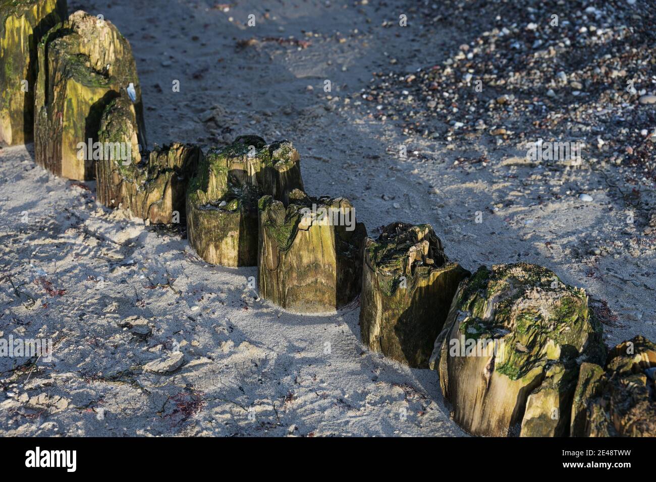 Weathered wooden groynes in the sand of the beach, tourist resort on ...