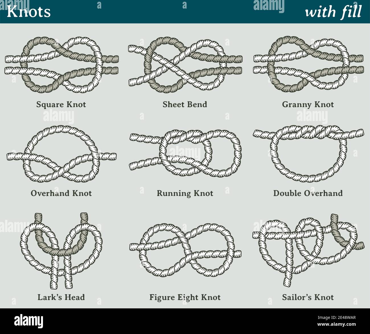 Set of nine different knots with the interior filled with color Stock ...