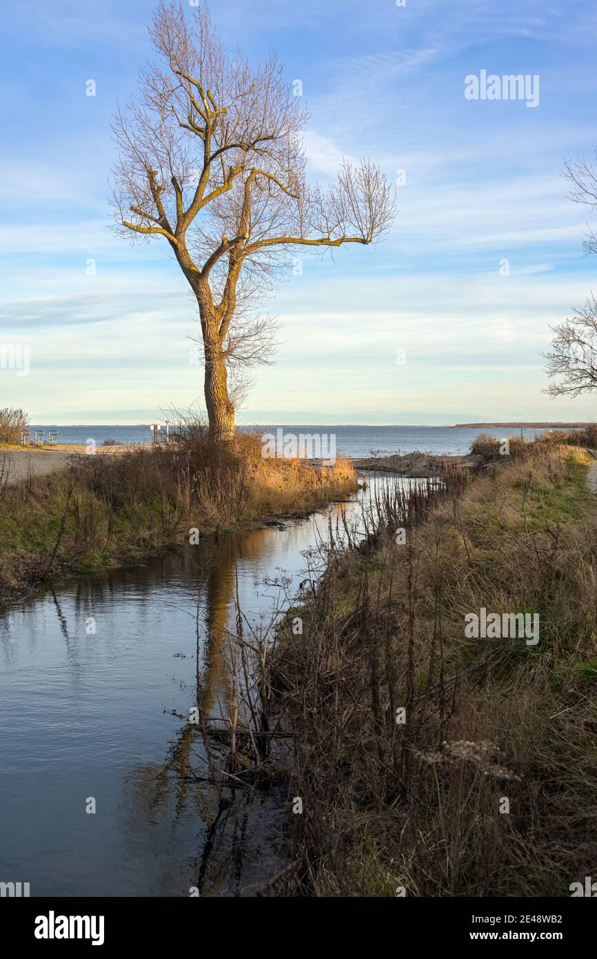 Estuary of a freshwater stream flowing into the Baltic Sea, landscape ...