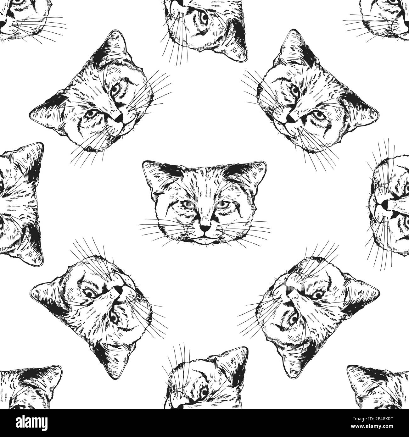 Seamless pattern of hand drawn sketch style sand cats isolated on white ...