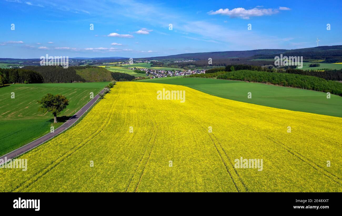 Trier saarburg district hi-res stock photography and images - Alamy