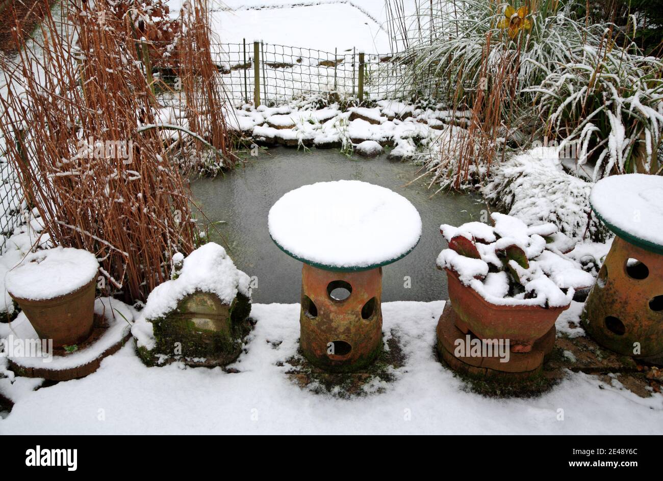 Garden pond winter hi-res stock photography and images - Alamy